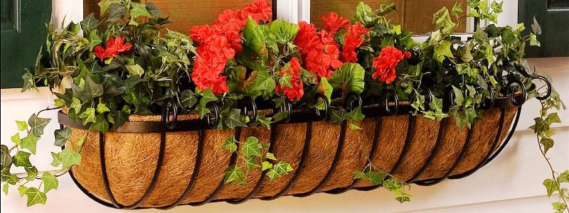 Coir-planters.jpg